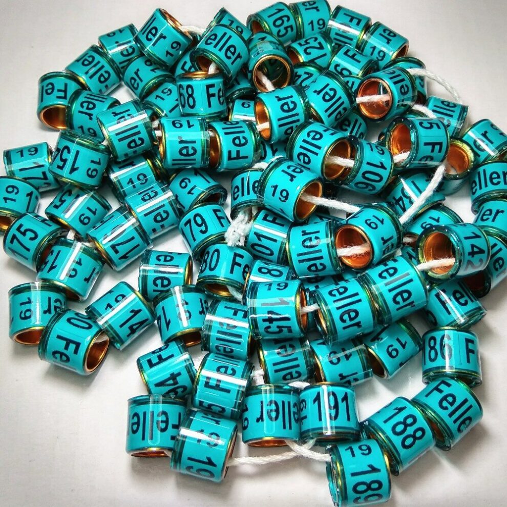 200pcs Pigeon Identification Rings 10mm Plastic With Golden Aluminum ...