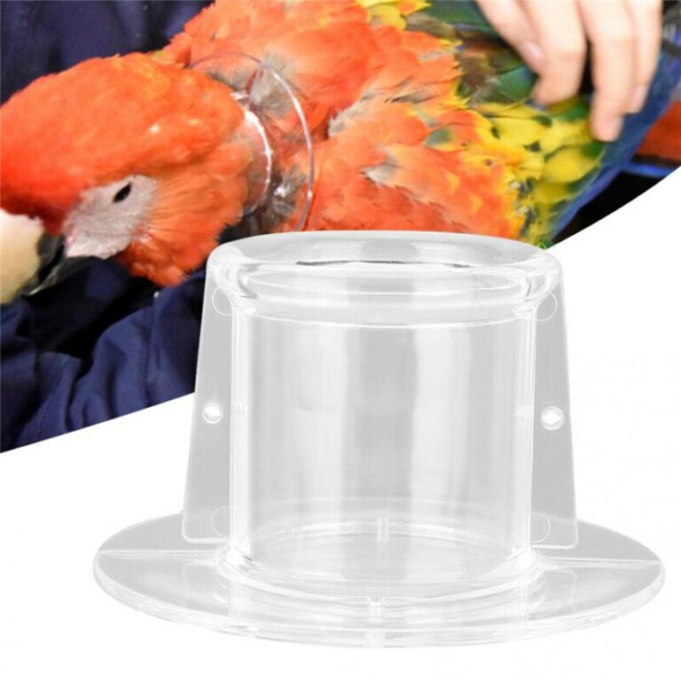Colorful Antibite Parrot Collar Bird Feather Protection Pet Antifeather ...