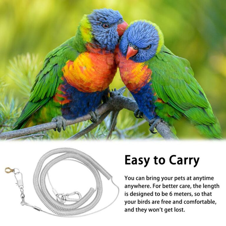 Antifeather Picking Bird Collar Parrot Protective Bead Elizabethan Ring ...