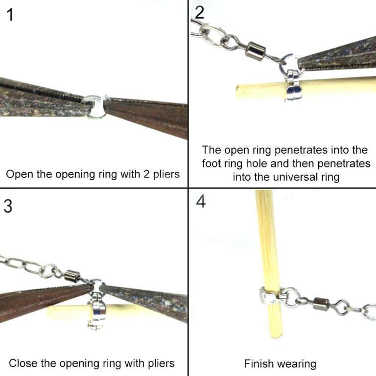 Stainless Steel Parrot Foot Ring Open Buckle Stand For Birds ...