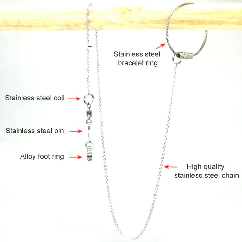 Stainless Steel Parrot Foot Ring Open Buckle Stand For Birds ...