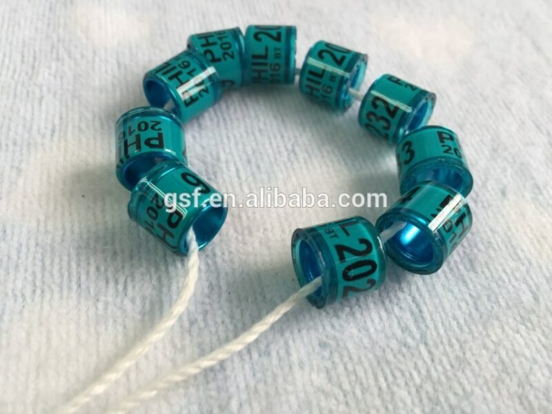 Custom Design Racing Pigeon Rings Bands For - TheBirdLovers.com - Free ...