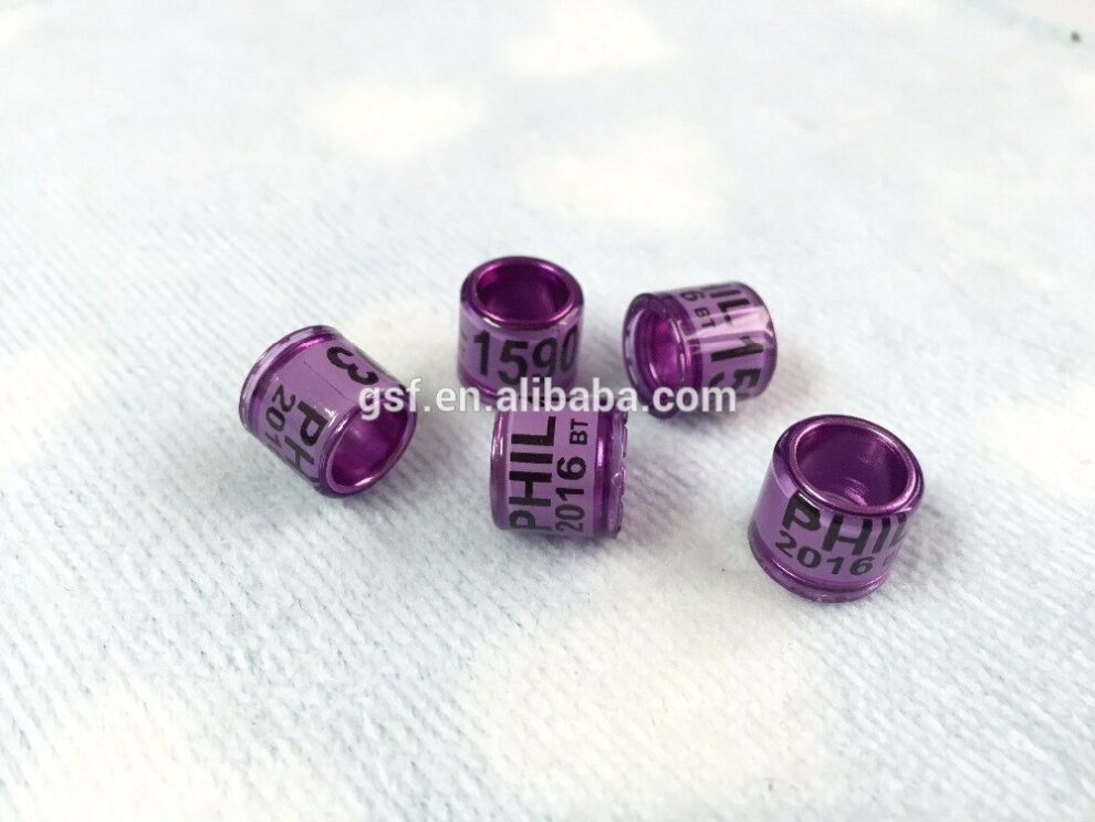 Custom Design Racing Pigeon Rings Bands For - TheBirdLovers.com - Free ...