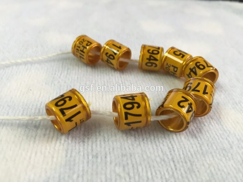 Custom Design Racing Pigeon Rings Bands For - TheBirdLovers.com - Free ...