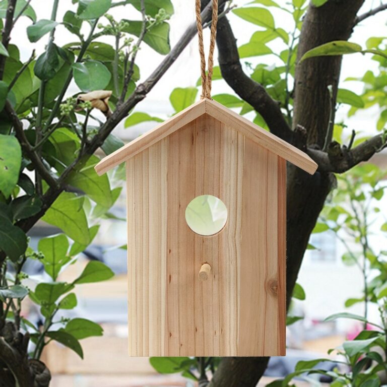 Outdoor Wooden Window Birdhouse With Suction Cups Visible Bird Nest ...