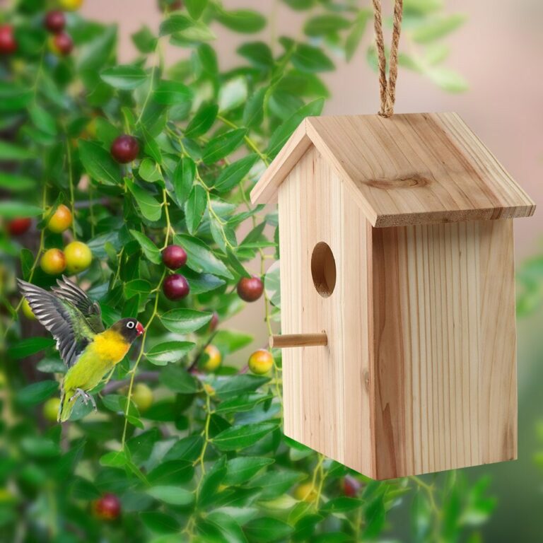 Outdoor Wooden Window Birdhouse With Suction Cups Visible Bird Nest ...