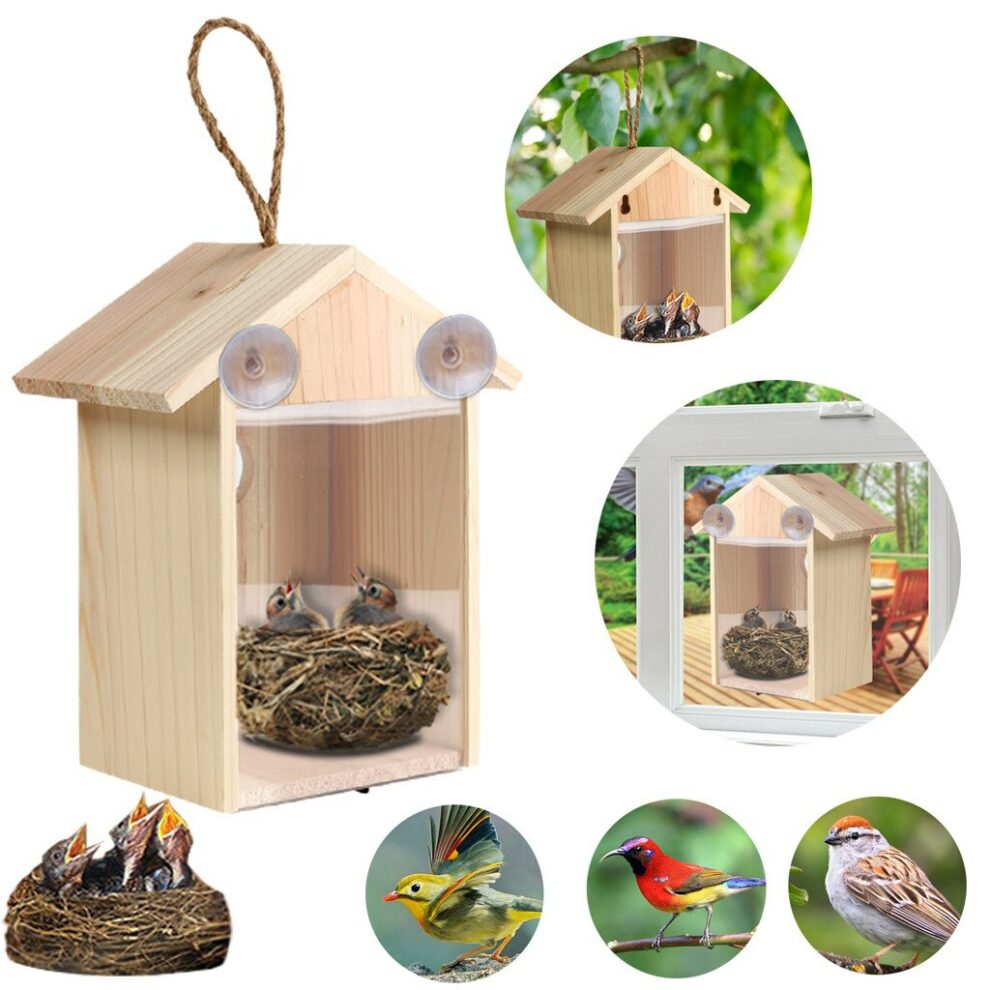 Outdoor Wooden Window Birdhouse With Suction Cups Visible Bird Nest ...
