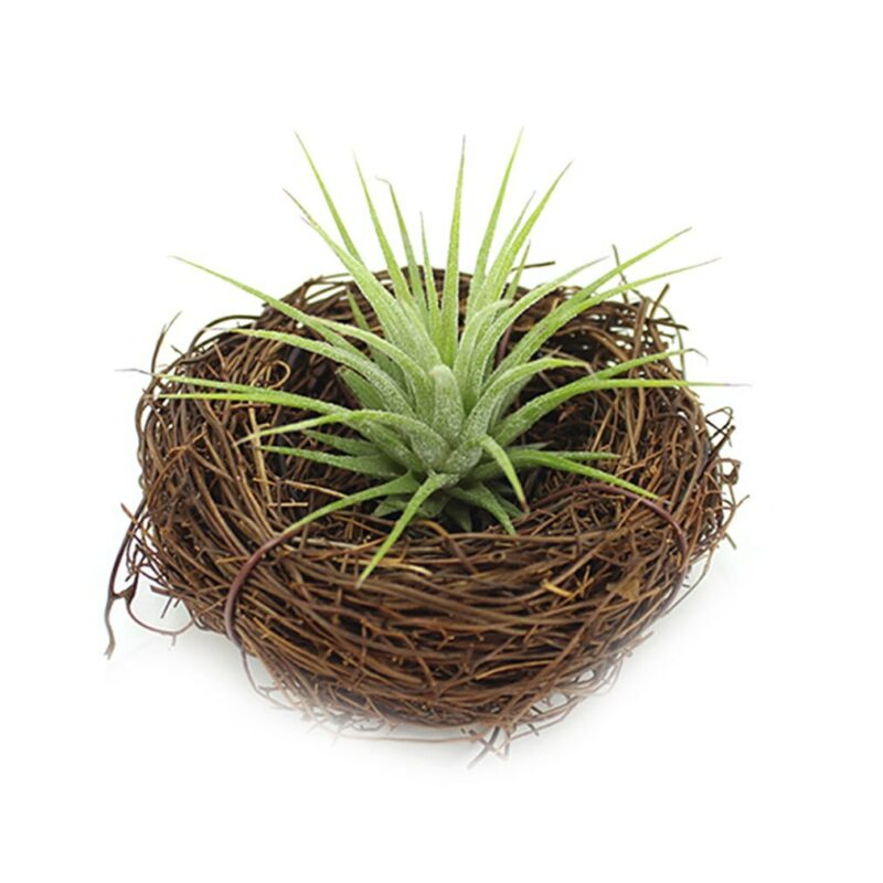 Handcrafted Natural Rattan Bird Nest Home Decorative Display Prop ...