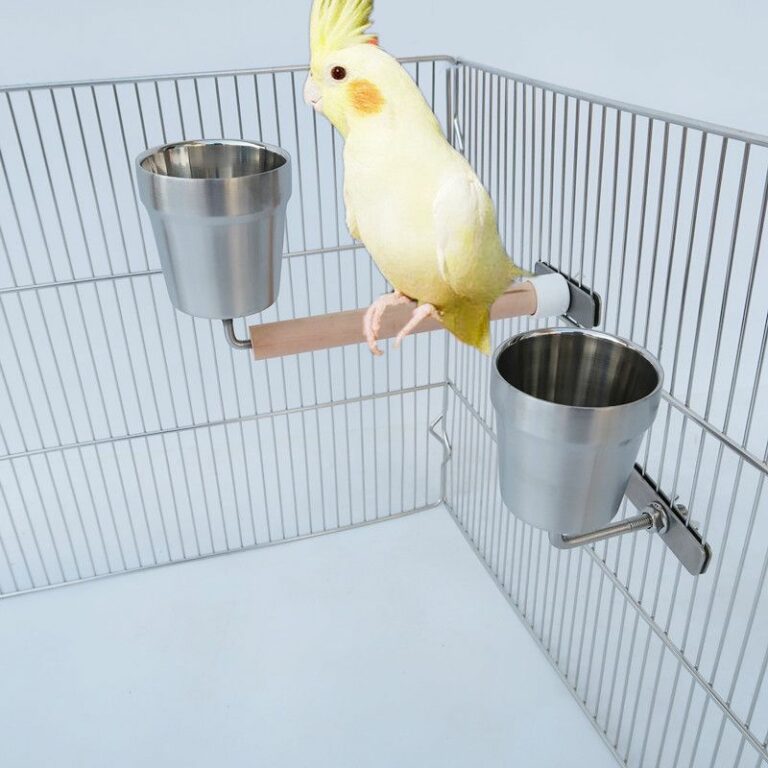 Stainless Steel Parrot Parakeet Cockatiel Bird Feeding Dish Water Bowl ...