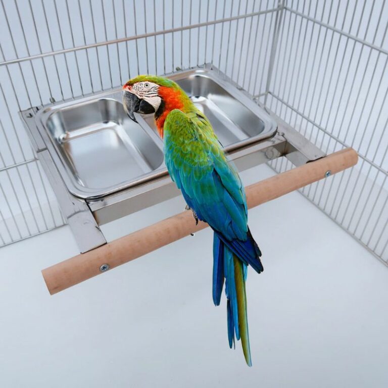 Stainless Steel Parrot Cage Dish Clampon Bird Feeding Cups With Wood ...