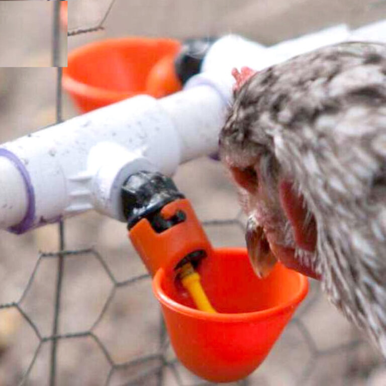 Automatic Bird Water Feeder Parrot Quail Drinking Bowl Cage Cup Bath ...