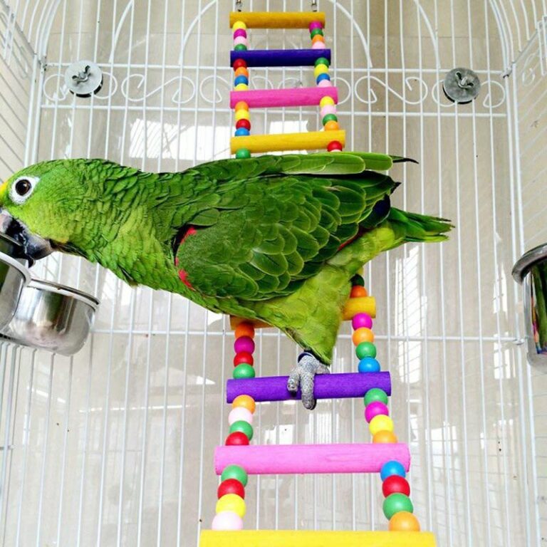 Parrot Climbing Ladder Wooden Swing Bridge Bird Cage Toy For Conures ...