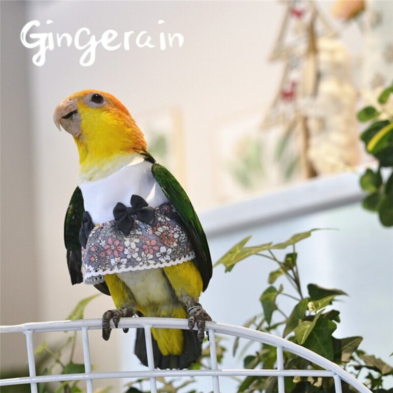 Handmade Custom Lotus Design Parrot Clothes By Gingerain Bird ...
