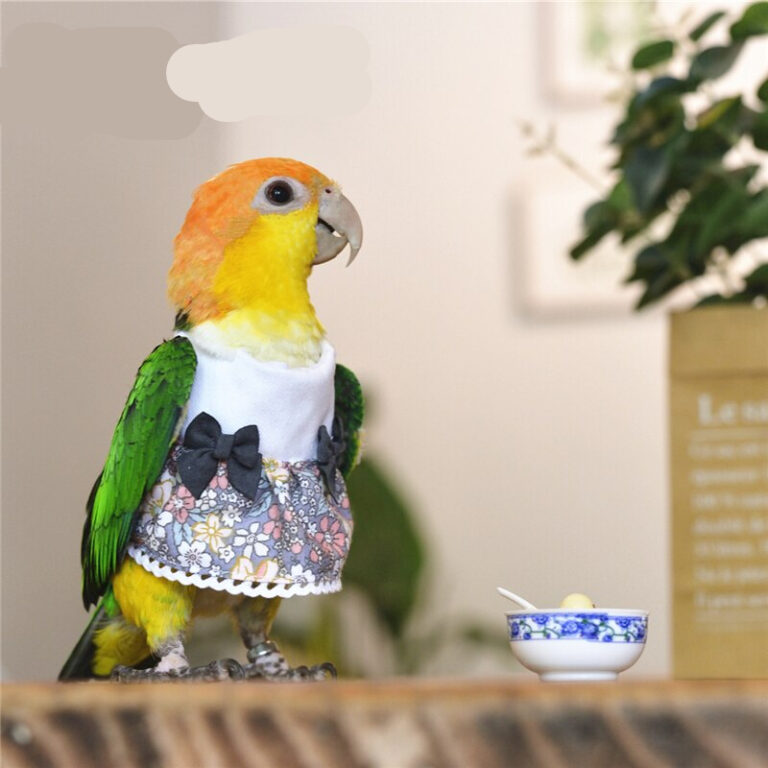 Handmade Custom Lotus Design Parrot Clothes By Gingerain Bird ...