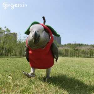 Handmade Custom Hooded Sweater For Parrots Original Gingerain Bird ...