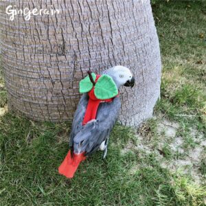 Handmade Custom Hooded Sweater For Parrots Original Gingerain Bird ...