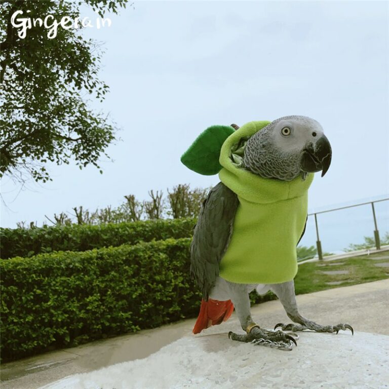Handmade Custom Hooded Sweater For Parrots Original Gingerain Bird ...