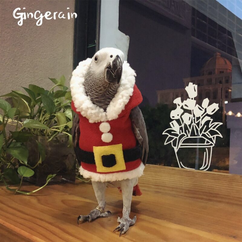 Handmade Christmas Hooded Sweater For Large Parrots By Gingerain ...