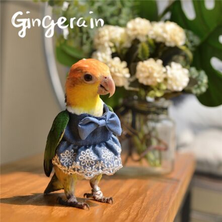 Handcrafted Lace Tutu Bird Clothes For Parrots Gingerain Custom Designs ...