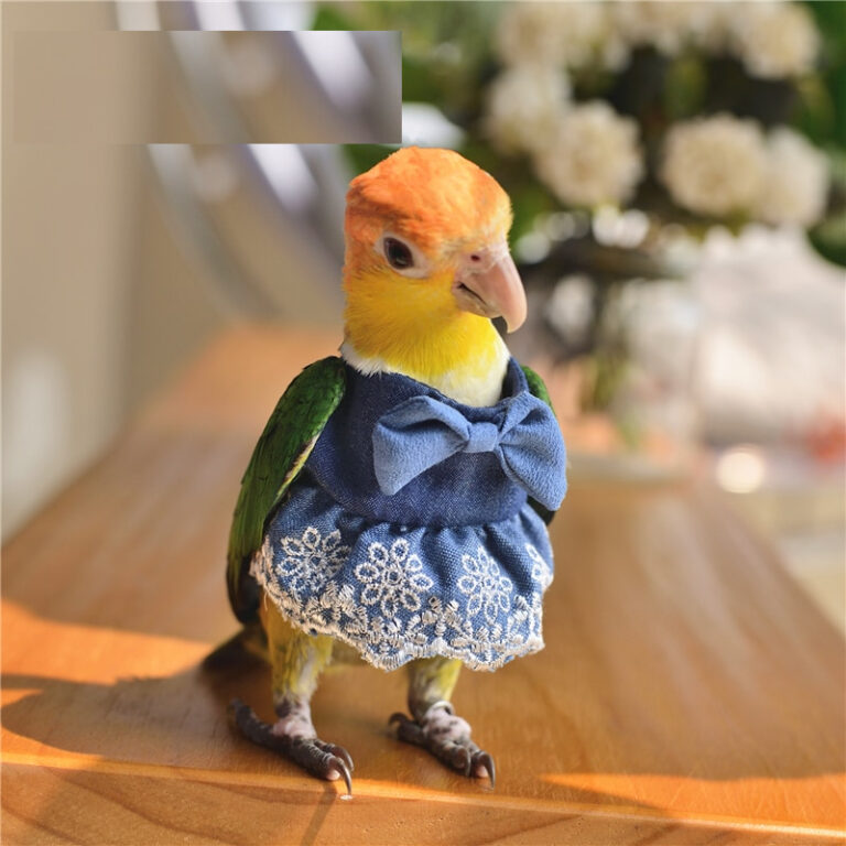 Handcrafted Lace Tutu Bird Clothes For Parrots Gingerain Custom Designs ...