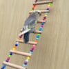Parrot Ladder Stand Wooden Bird Cage Climbing Toys For Hamsters Parrots ...