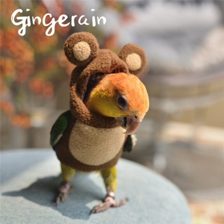 Handmade Custom Hooded Sweater For Parrots Birds By Gingerain ...