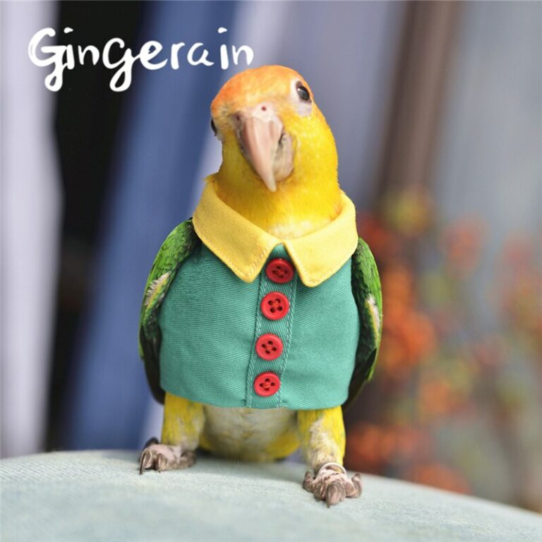 Handmade Custom Gingerain Button Shirt For Parrots Unique Bird Clothing ...