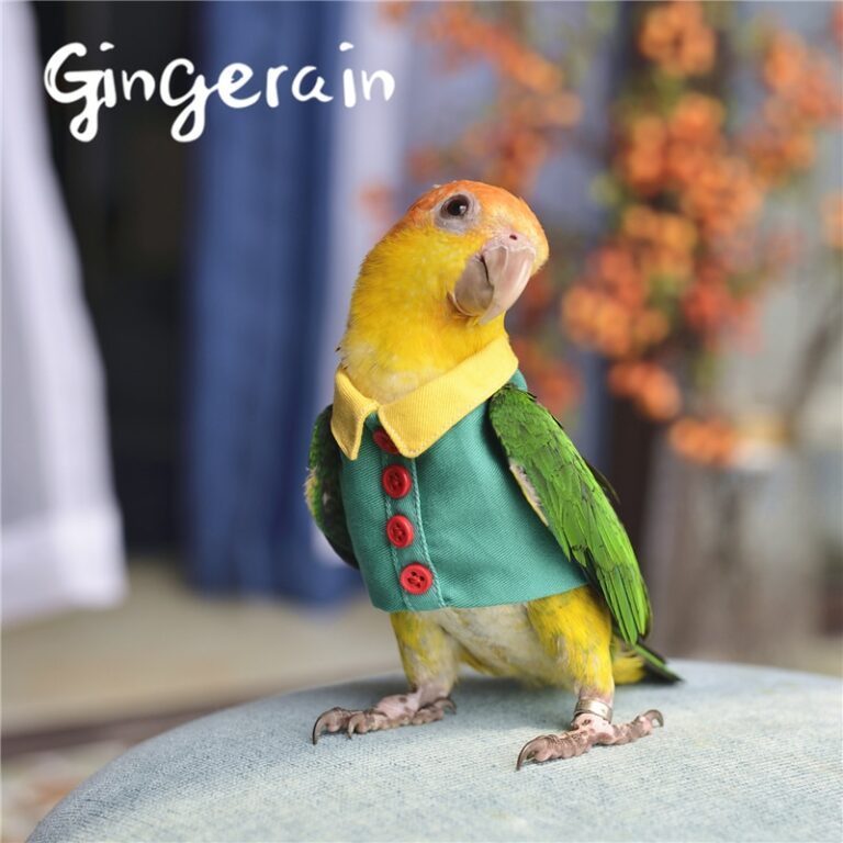 Handmade Custom Gingerain Button Shirt For Parrots Unique Bird Clothing ...