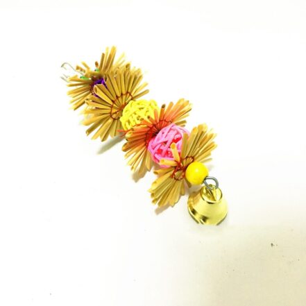 5pcs Parrot Hand Feeding Spoon Set Stainless Steel Bird Accessories ...