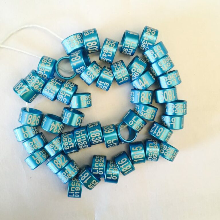 Customized Bird Leg Rings With Phone Number For Chicken Pigeon ...