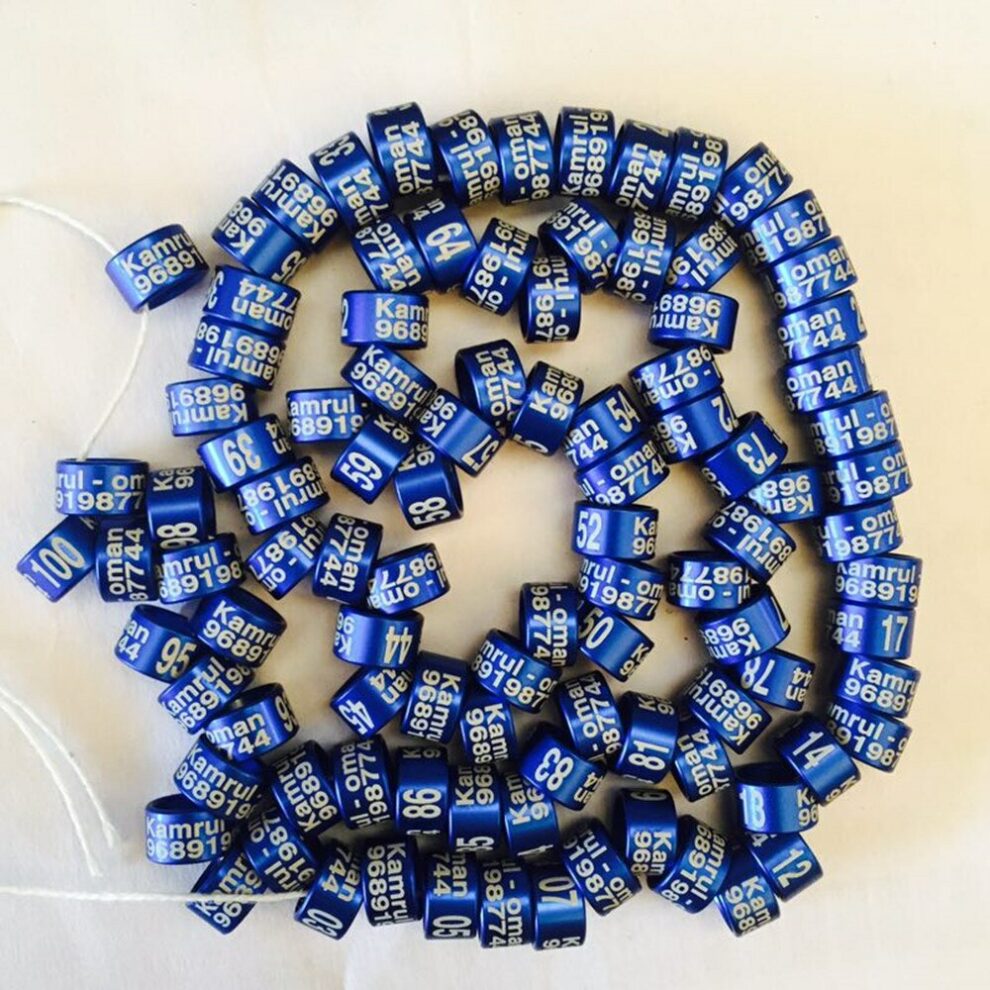 5mm Love Birds Leg Bands Cockatiel Foot Rings Bird Identification Tags ...