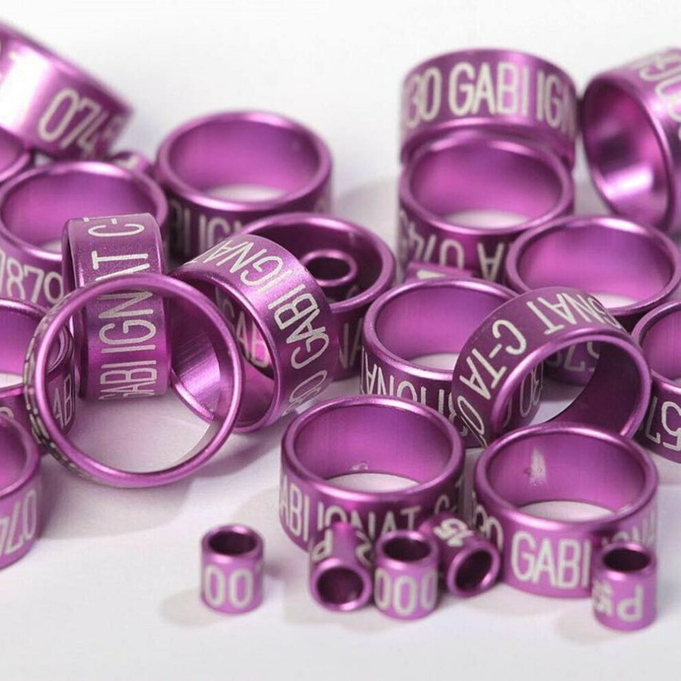 5mm Love Birds Leg Bands Cockatiel Foot Rings Bird Identification Tags ...