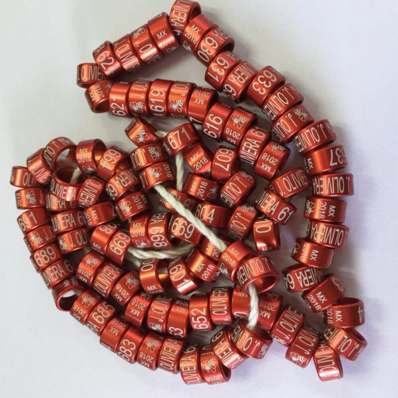 5mm Love Birds Leg Bands Cockatiel Foot Rings Bird Identification Tags ...