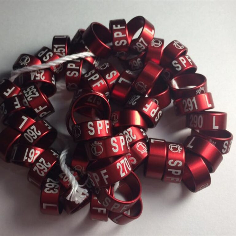 5mm Love Birds Leg Bands Cockatiel Foot Rings Bird Identification Tags ...