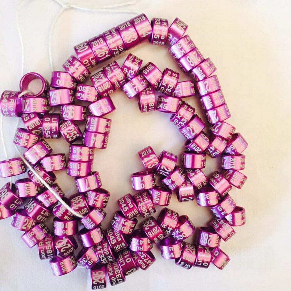 Goldfinch Pigeon Love Rings 3mm5mm Aluminum Bird Leg Bands ...