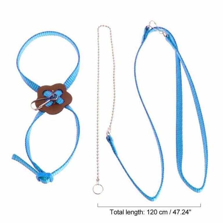Adjustable Parrot Harness Leash Perfect For African Greys Budgies ...