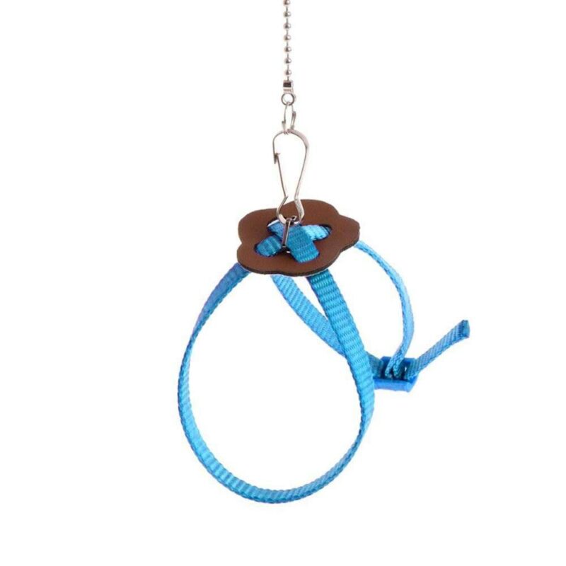 Adjustable Parrot Harness Leash Perfect For African Greys Budgies ...
