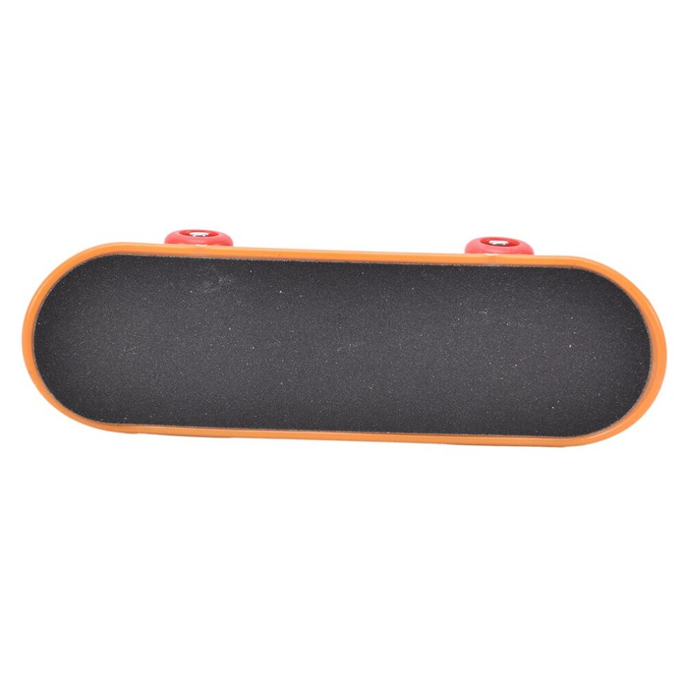 Small Parrot Bird Training Mini Skateboard Toy With Plastic Stents ...