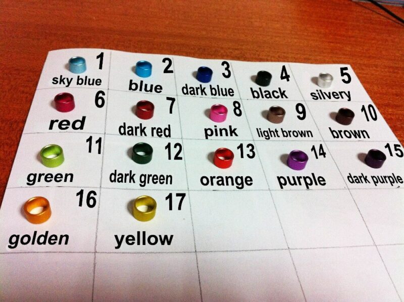 50pcs Aluminium Canary Love Birds Identification Leg Bands 2mm12mm ...