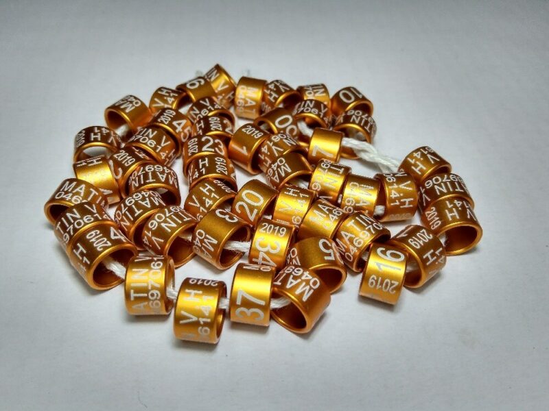 50pcs Aluminium Canary Love Birds Identification Leg Bands 2mm12mm ...