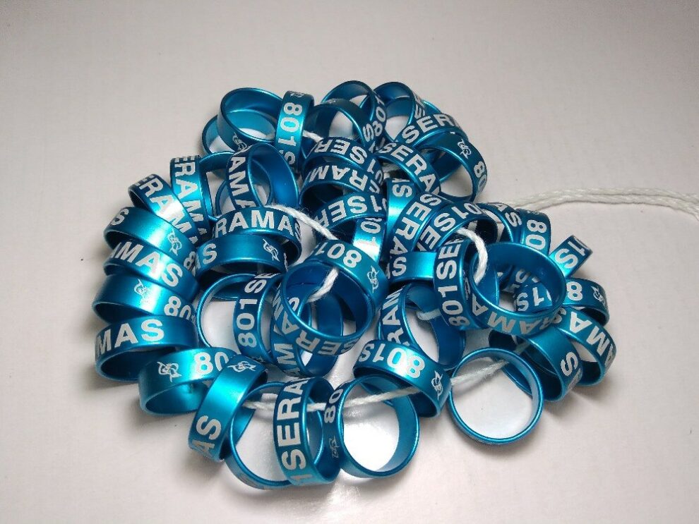 50pcs Aluminium Canary Love Birds Identification Leg Bands 2mm12mm ...