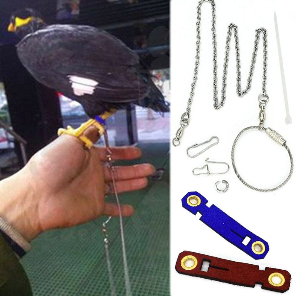 Outdoor Bird Training Harness Antibite Leash For Scarlet Macaw Parrots ...