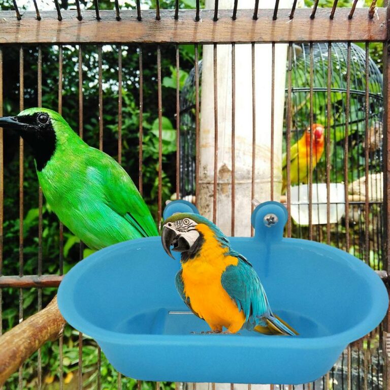 Parrot Pet Shower Cage Bird Bathing Bathtub With Standing Perch ...