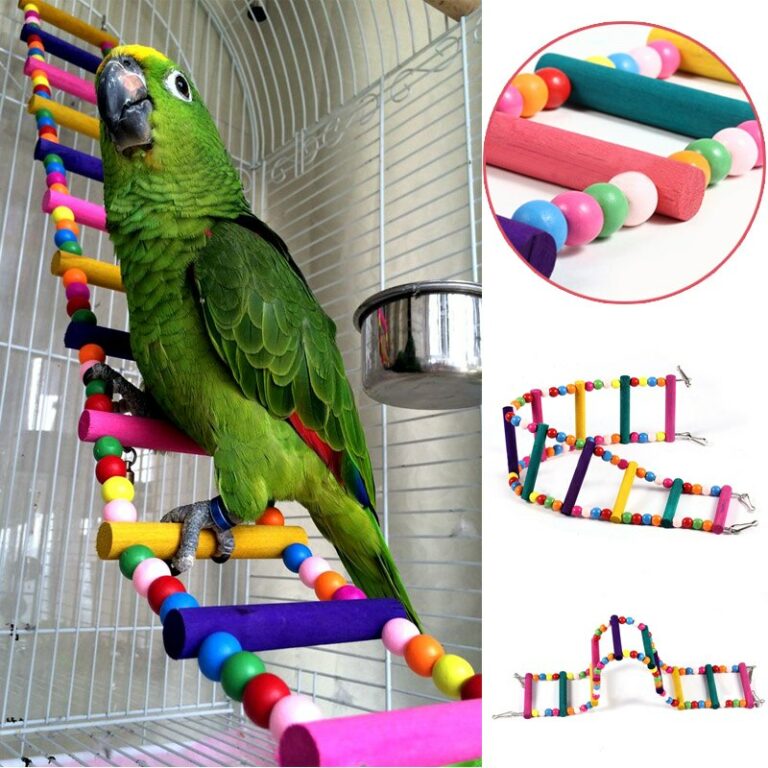 Parrot Beaded Wooden Suspension Bridge Birdcage Ladder And Swinging Toy ...