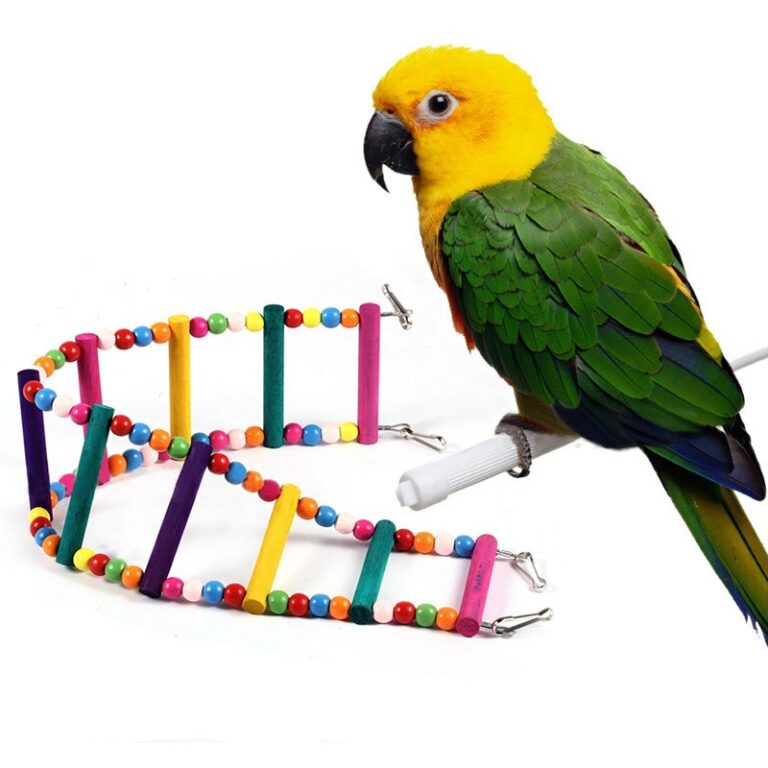 Birdcage Ladders - TheBirdLovers.com - Free Shipping Worldwide