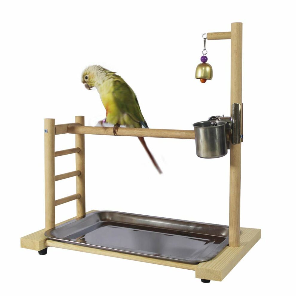 Wooden Parrot Play Stand Gym Cockatiel Playground Ladder Toys Feeder ...