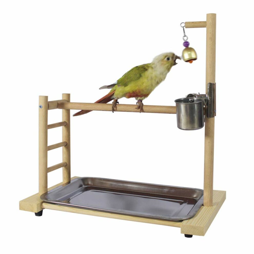 Wooden Parrot Play Stand Gym Cockatiel Playground Ladder Toys Feeder ...