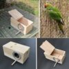 Wooden Bird Breeding Cage Nesting Box For Parakeets Finch Lovebird ...