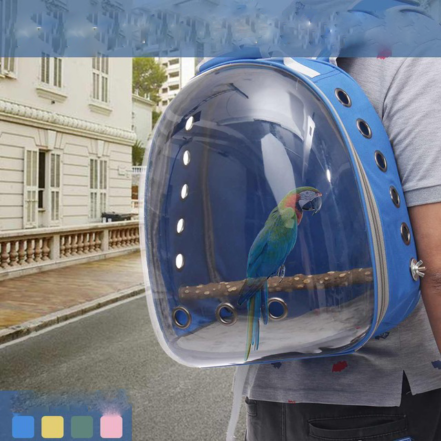 Portable Transparent Pvc Bird Cage Breathable Parrot Travel Carrier ...