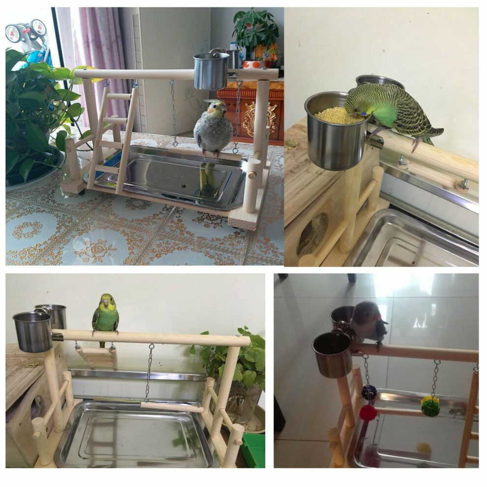 Wooden Parrot Playstand With Gym Ladder Perch Toys For Lovebirds ...